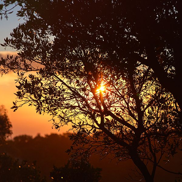 La Volupté – Café du Cycliste | FR